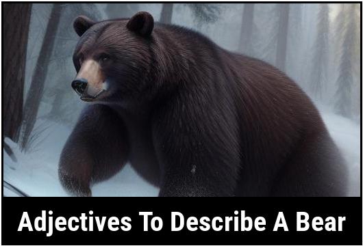 31 Adjectives To Describe A Bear