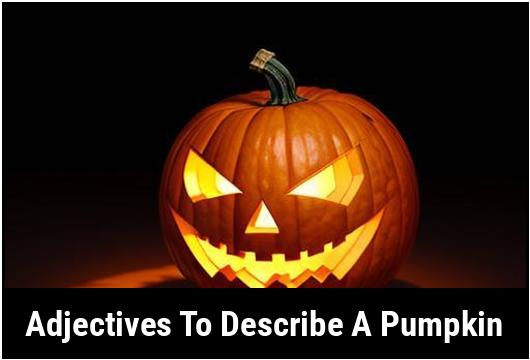 31 Adjectives To Describe A Pumpkin