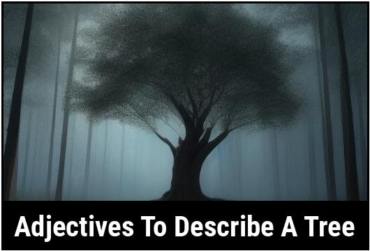 41 Adjectives To Describe A Tree