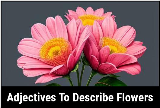 51 Adjectives To Describe Flowers