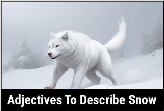 31 Adjectives To Describe Snow