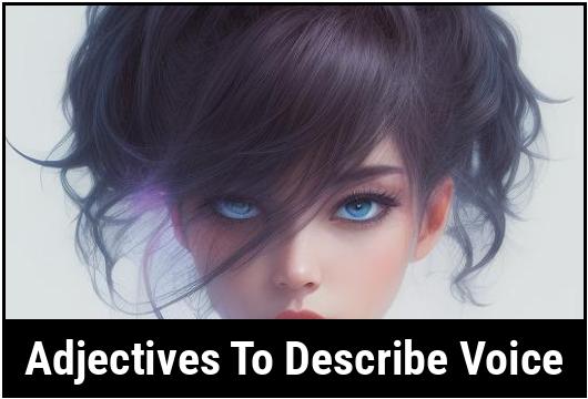 48 Adjectives To Describe Voice